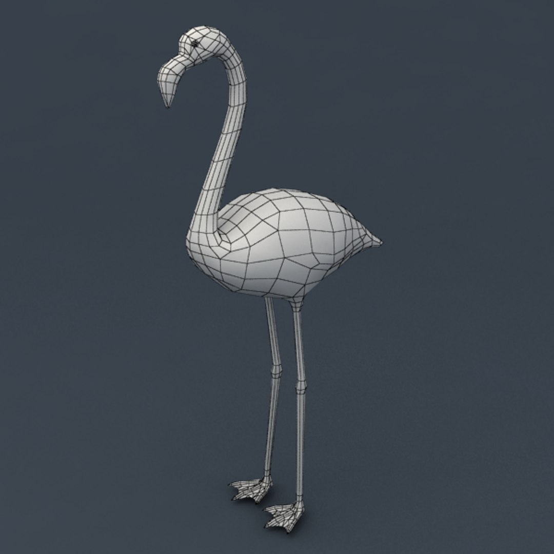 3d Flamingo Rigged Model