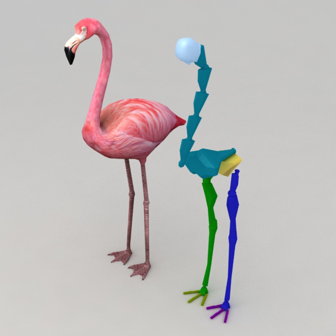 3d Flamingo Rigged Model