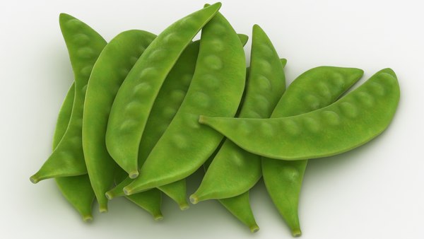 Snow pea pile 02 3D model - TurboSquid 1653507