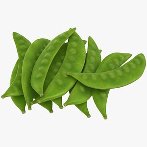 Snow Pea 3D Models for Download | TurboSquid