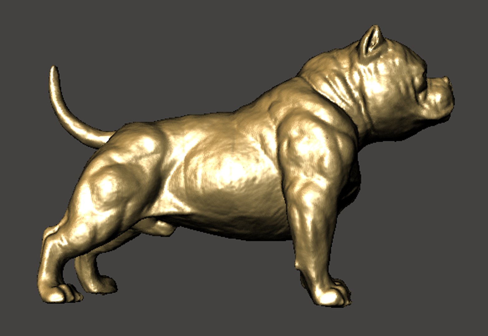 American Bully 3d Model