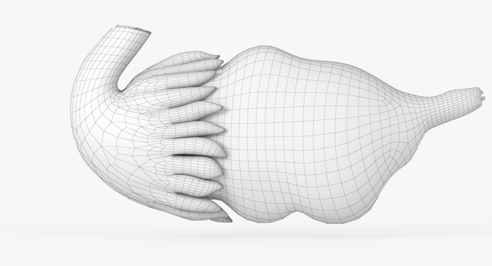 Ovulation Cycle 3D Model - TurboSquid 1358383