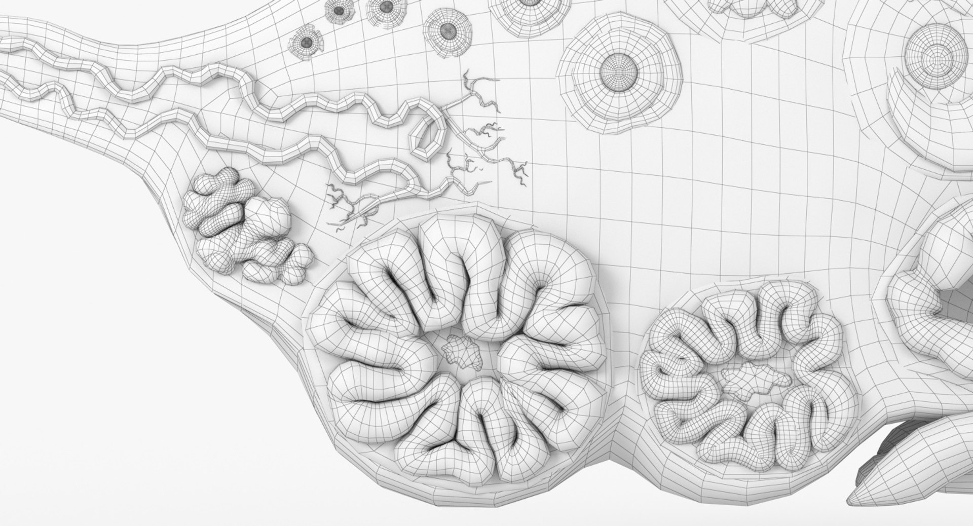 Ovulation Cycle 3D Model - TurboSquid 1358383