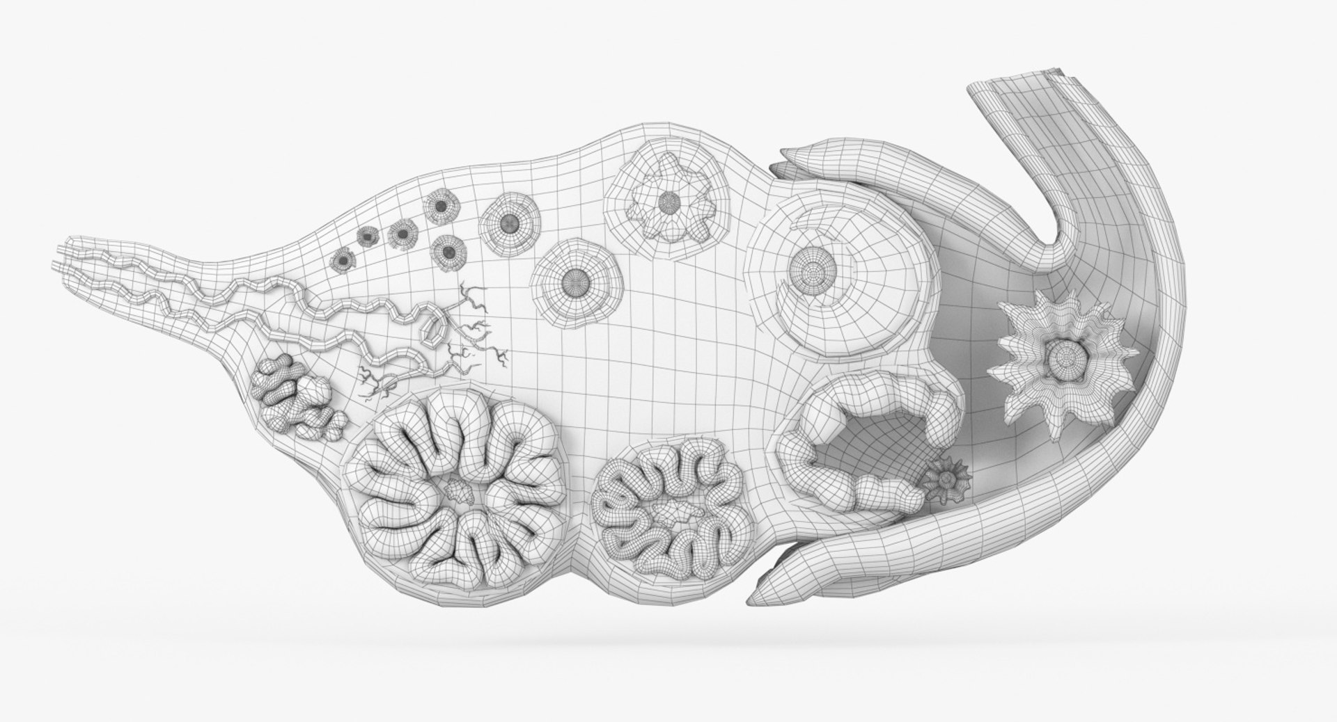 Ovulation Cycle 3D Model - TurboSquid 1358383
