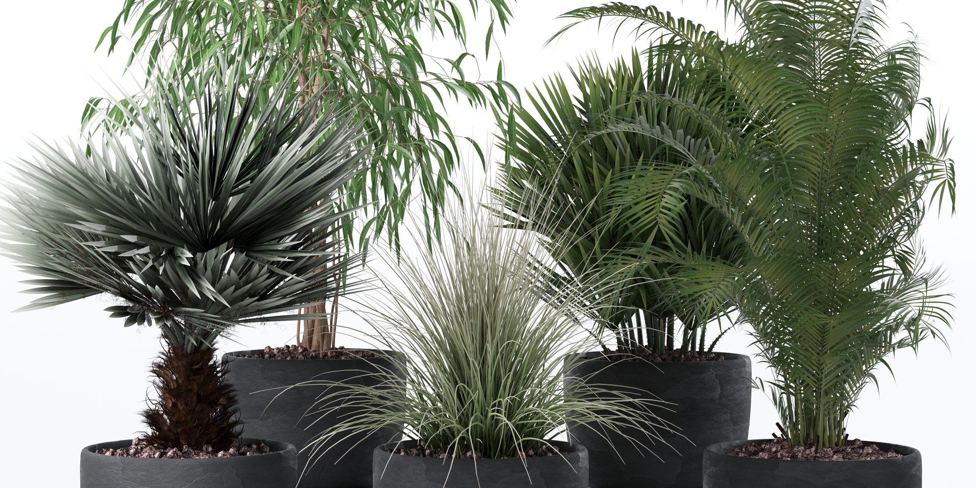 3D model 20 Photorealistic Flowers for Interiors - set 122 127 131 135 ...