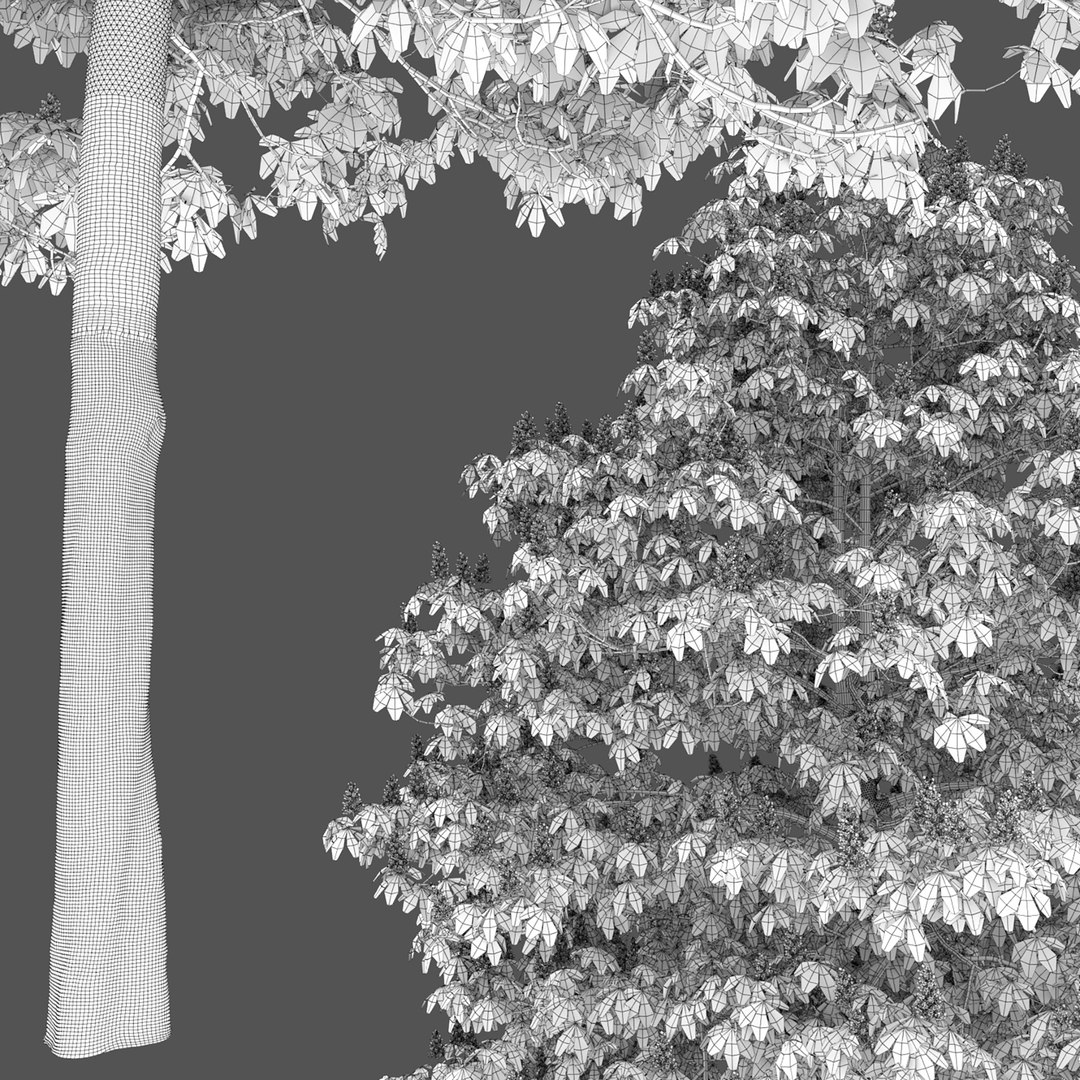 Tree 3D model - TurboSquid 1689156