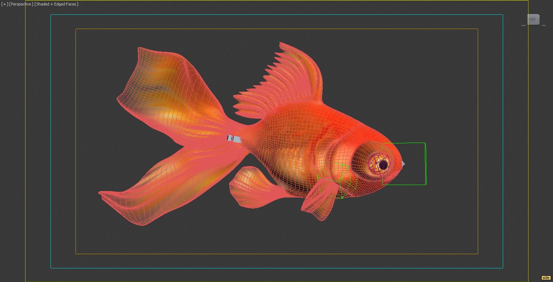 3d Model Goldfish Rigged Morphed