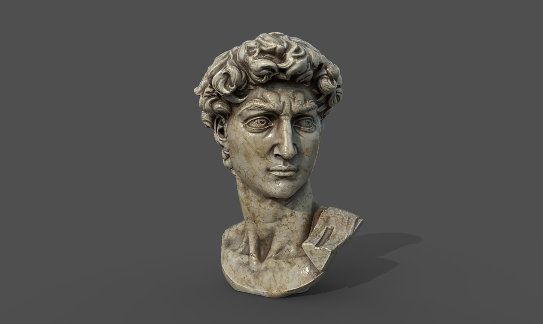 3D Bust Of David Model - TurboSquid 1821419