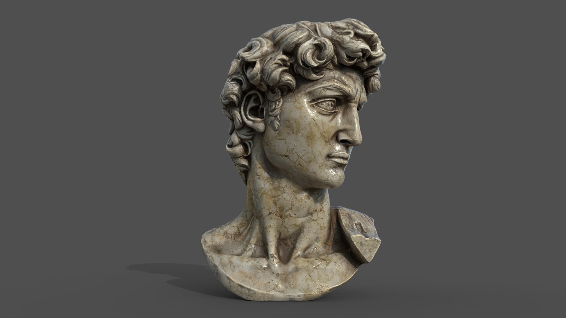 3D Bust Of David Model - TurboSquid 1821419