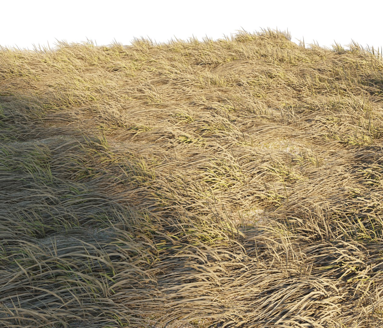Dry Grass 3D Model - TurboSquid 1406348