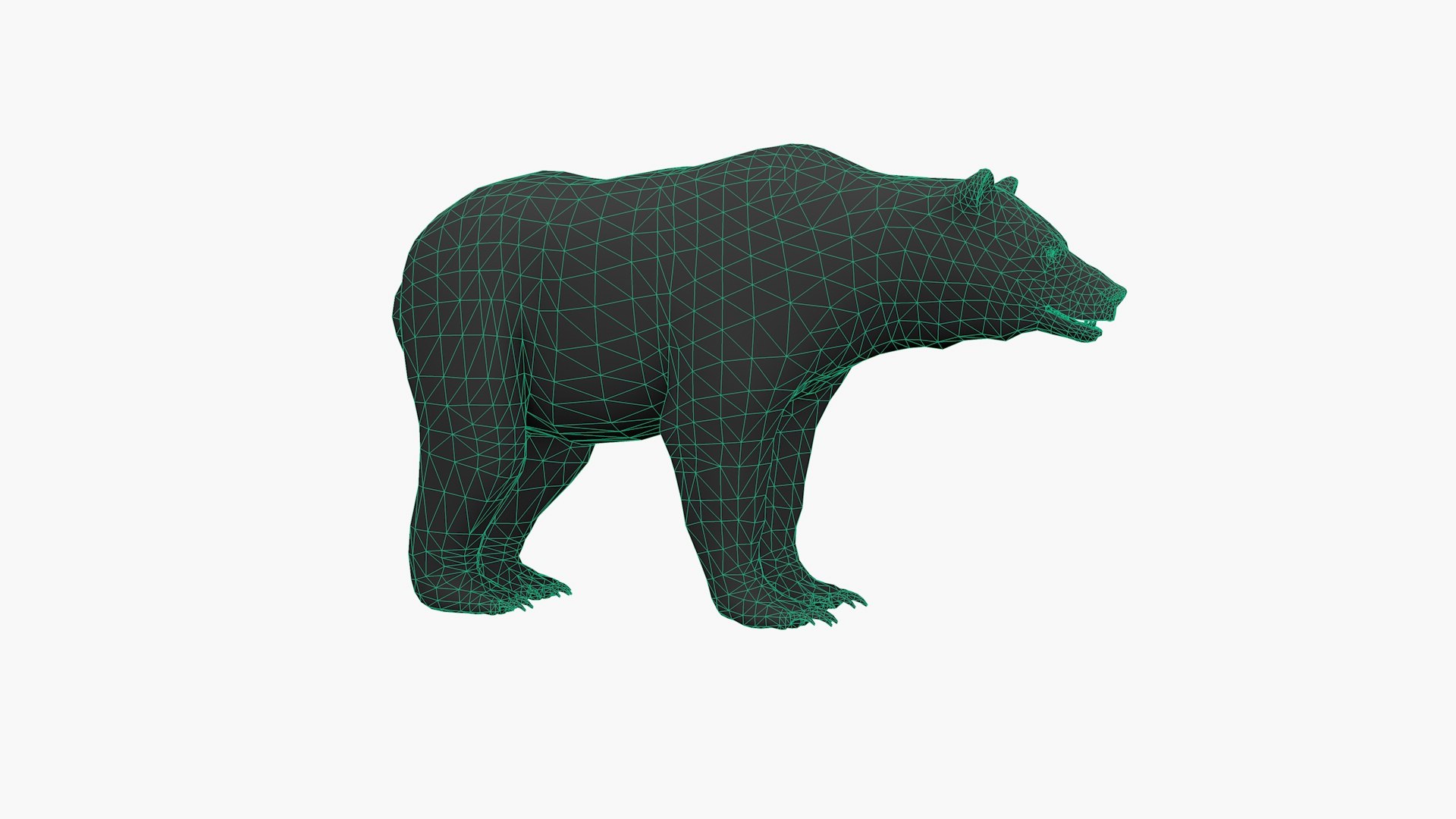 3D Bear Model - TurboSquid 1837731