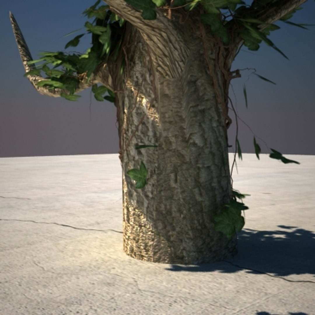Max Ivy Tree