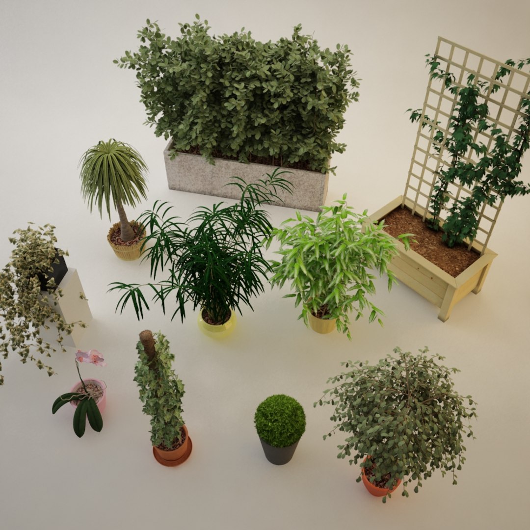 3d Realistic Pot Plants Model