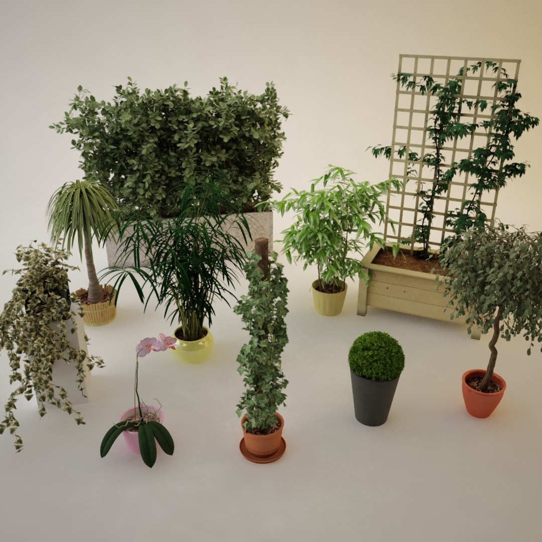 3d Realistic Pot Plants Model
