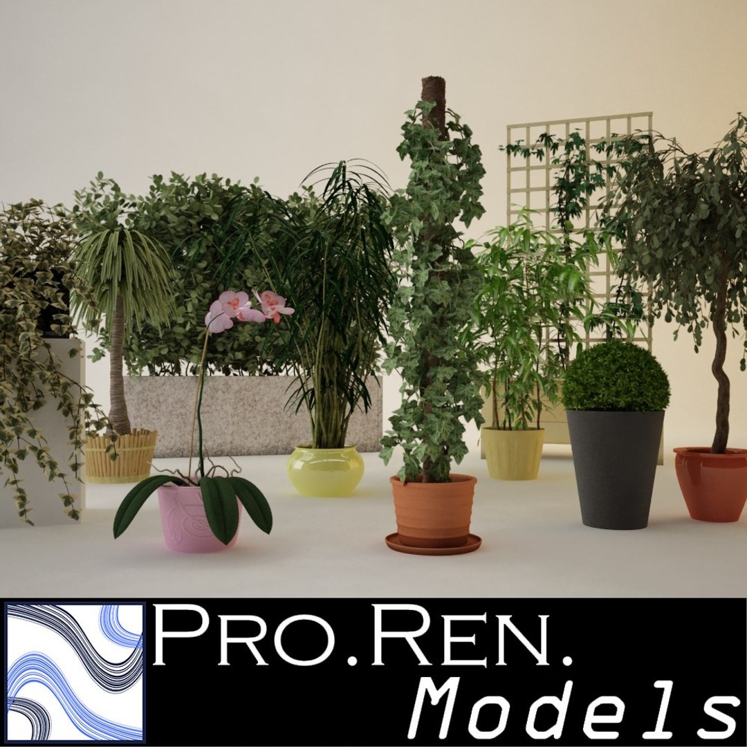 3d Realistic Pot Plants Model