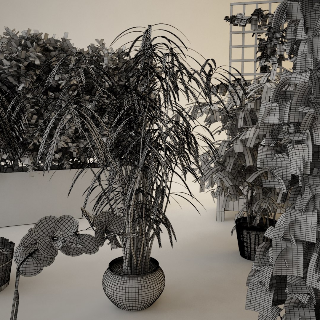 3d Realistic Pot Plants Model