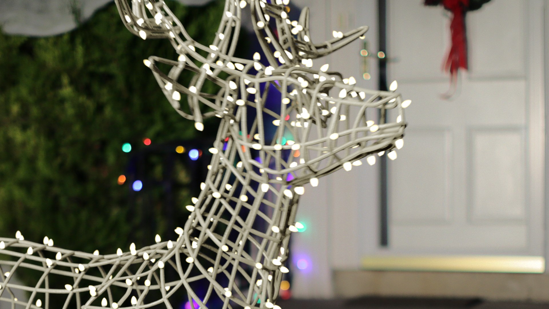 Maya Christmas Light Deer
