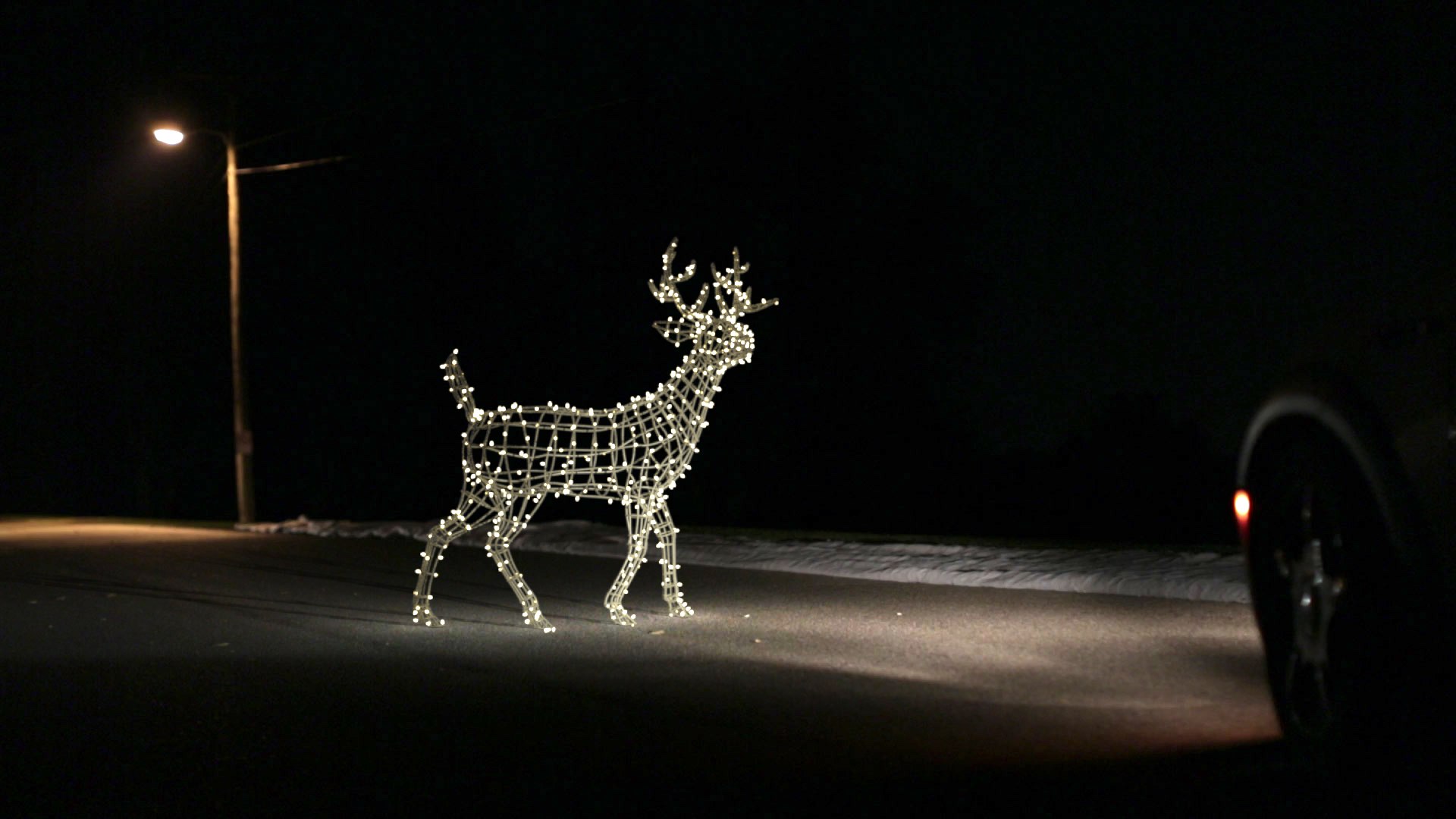 Maya Christmas Light Deer