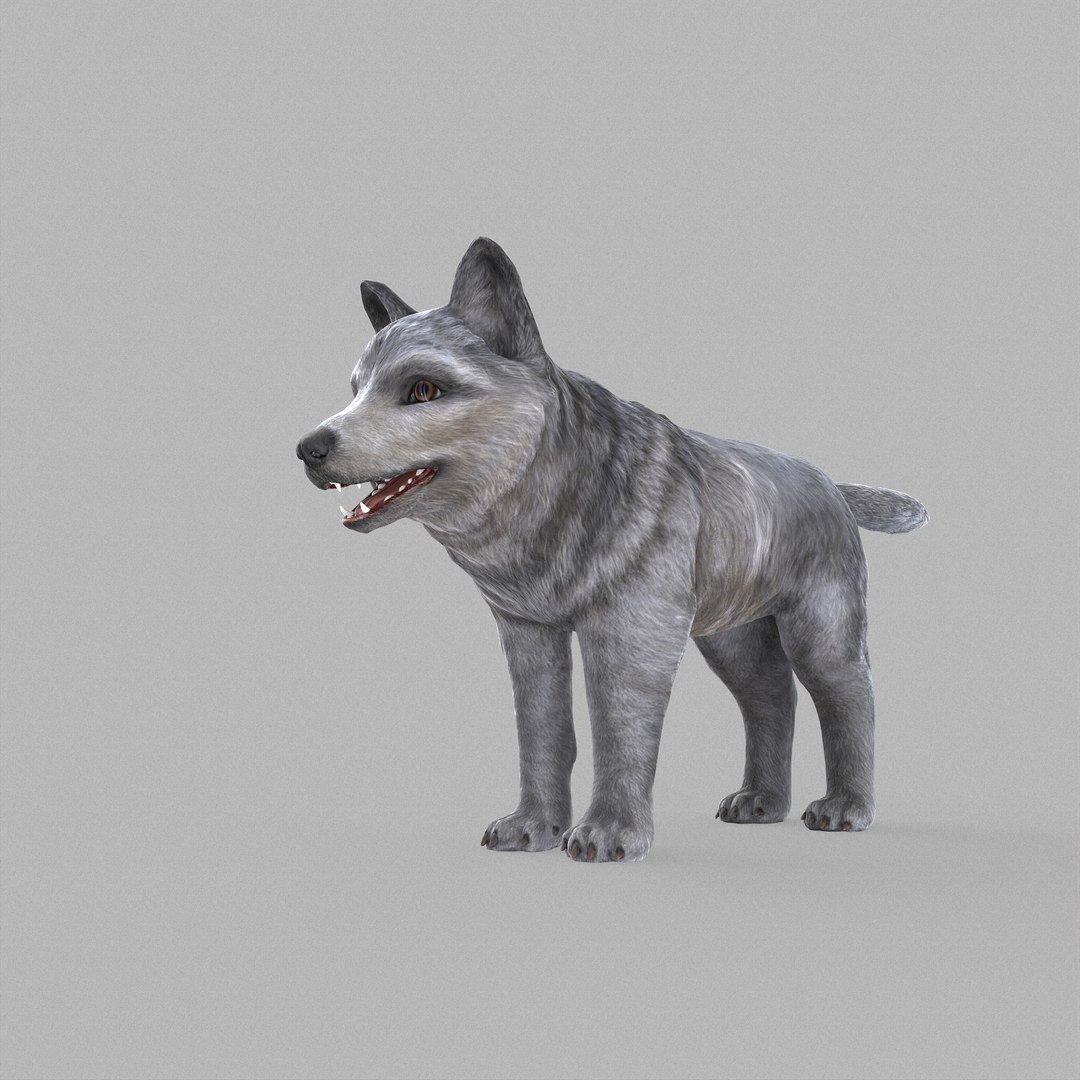 Wolf Puppy Low Poly 3D model - TurboSquid 2046513