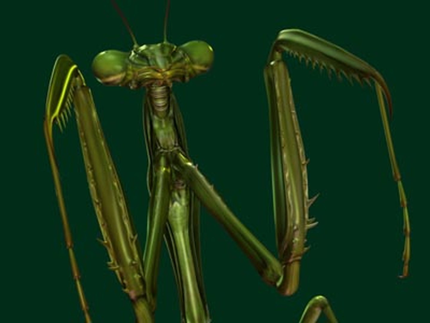 female praying mantis v2 3d obj