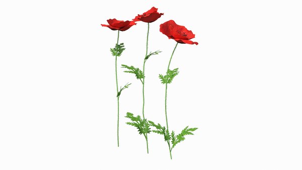 modelo 3d Flowering Plants Collection 6 - TurboSquid 1887162