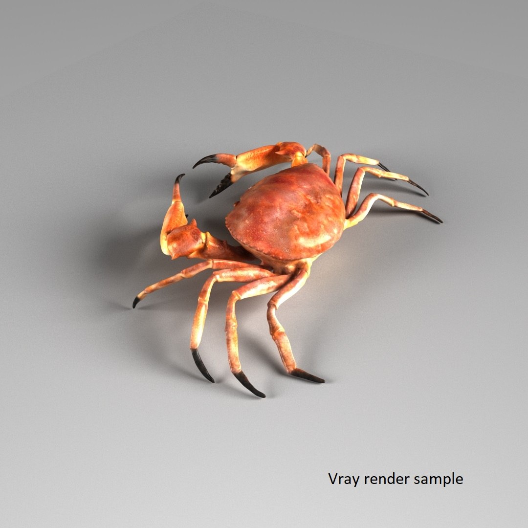 3D Model Crab Vr Realtime - TurboSquid 1462777