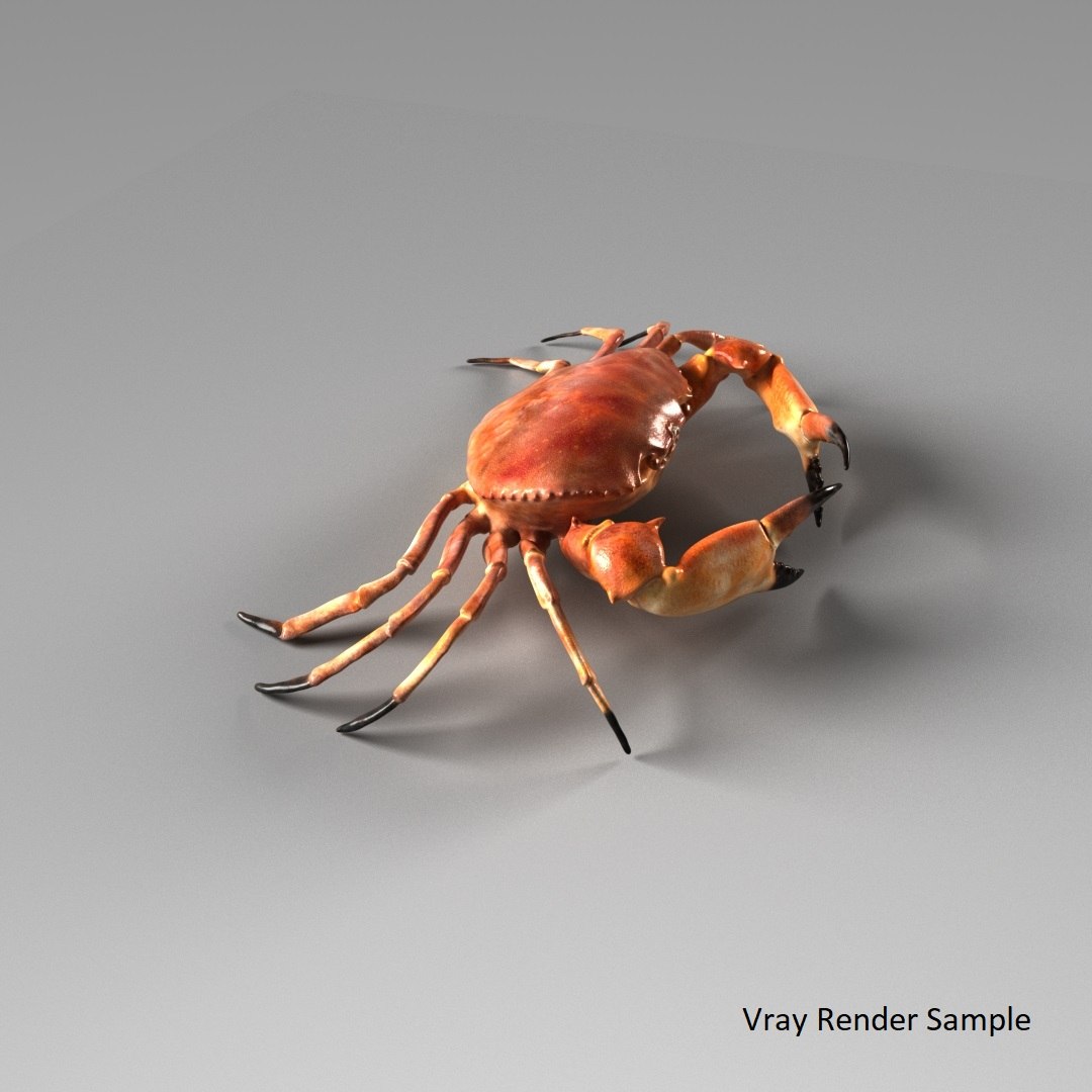 3D Model Crab Vr Realtime - TurboSquid 1462777