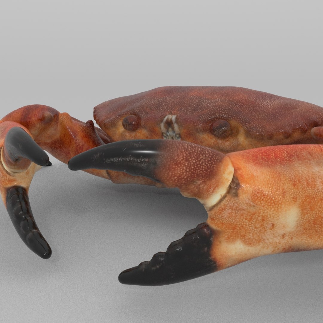 3D Model Crab Vr Realtime - TurboSquid 1462777