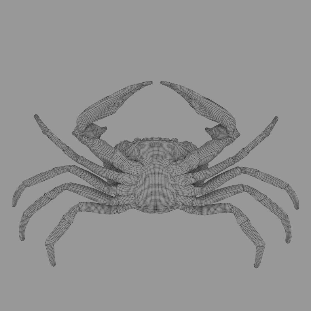 3D Model Crab Vr Realtime - TurboSquid 1462777