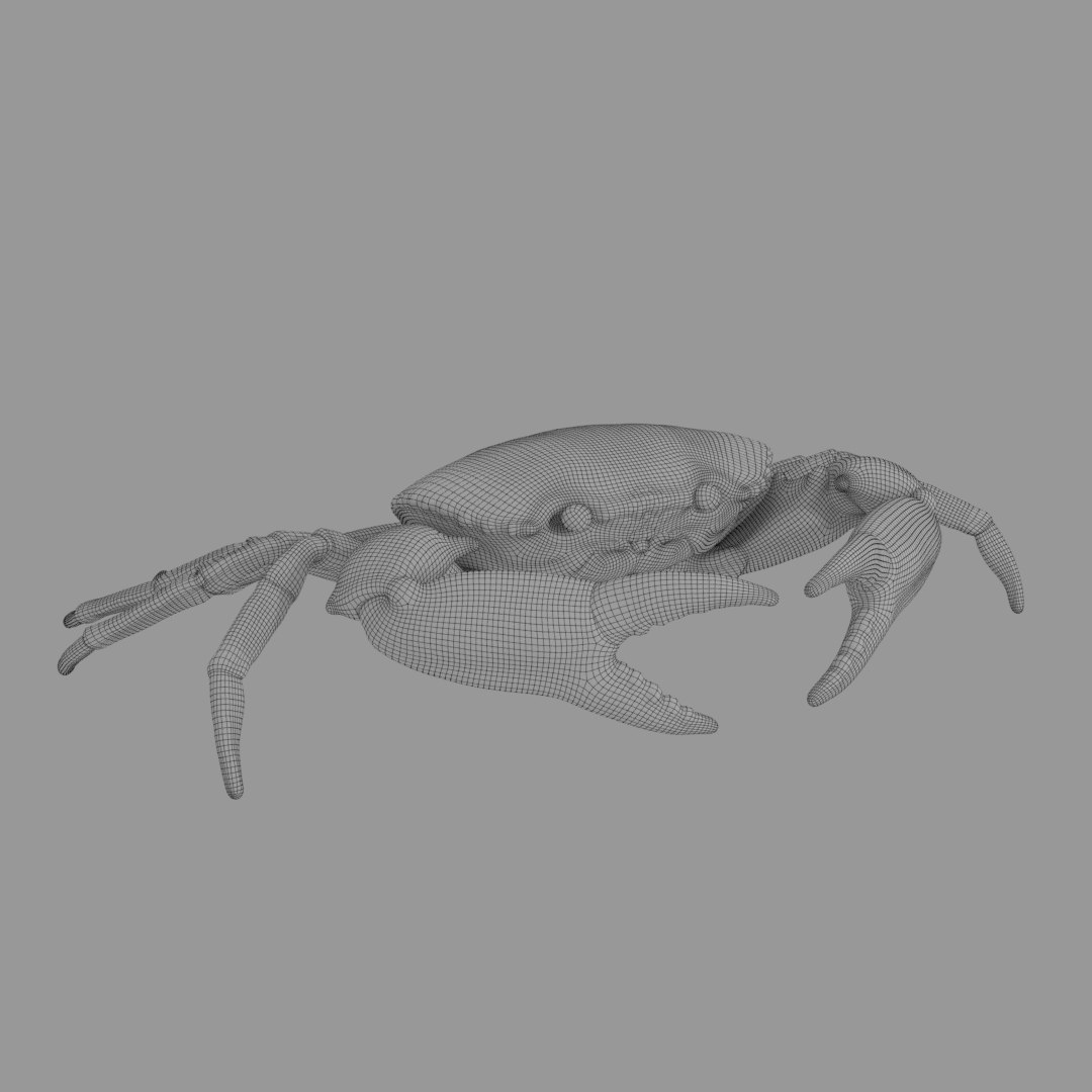 3D Model Crab Vr Realtime - TurboSquid 1462777