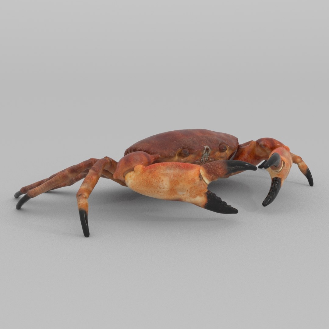 3D Model Crab Vr Realtime - TurboSquid 1462777
