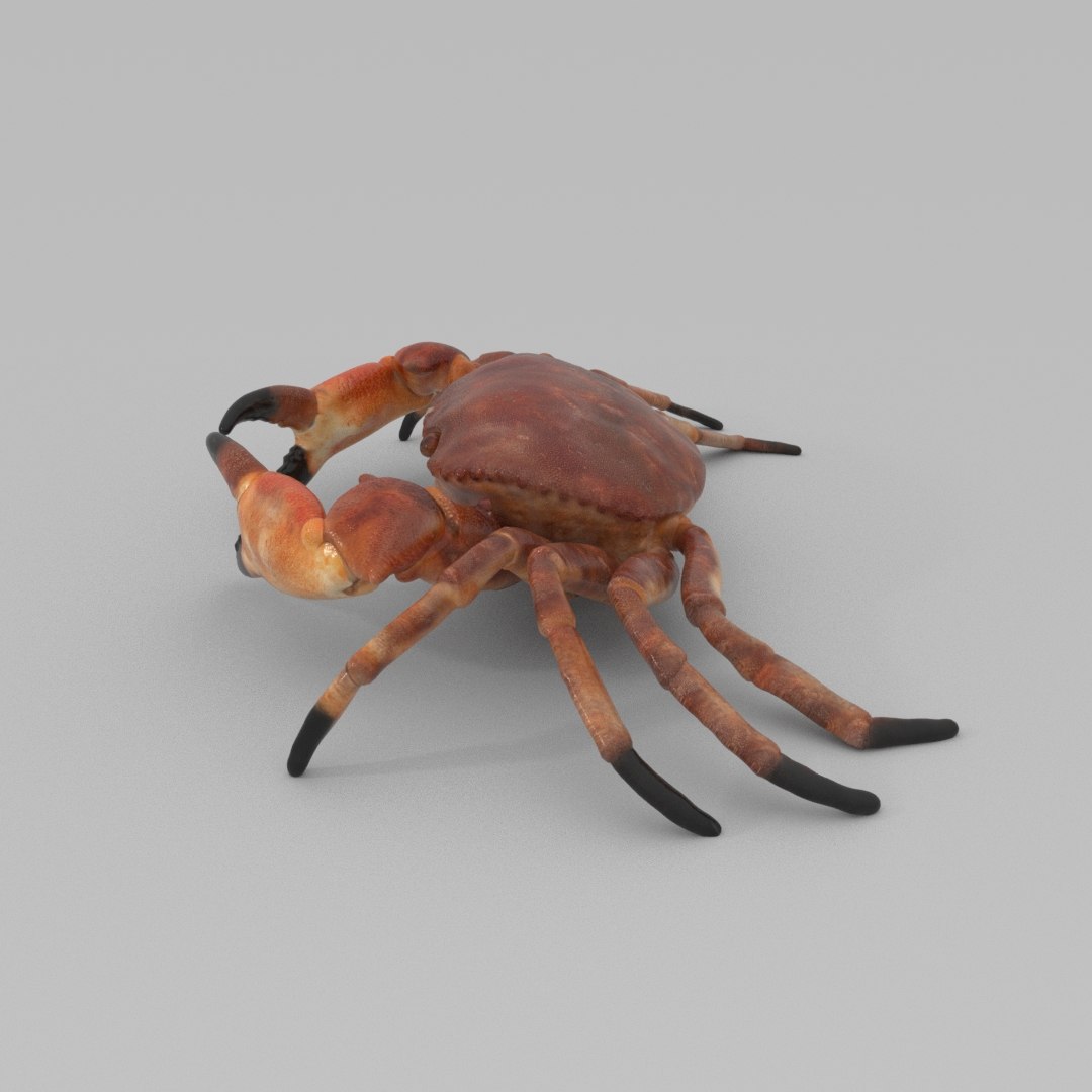 3D Model Crab Vr Realtime - TurboSquid 1462777