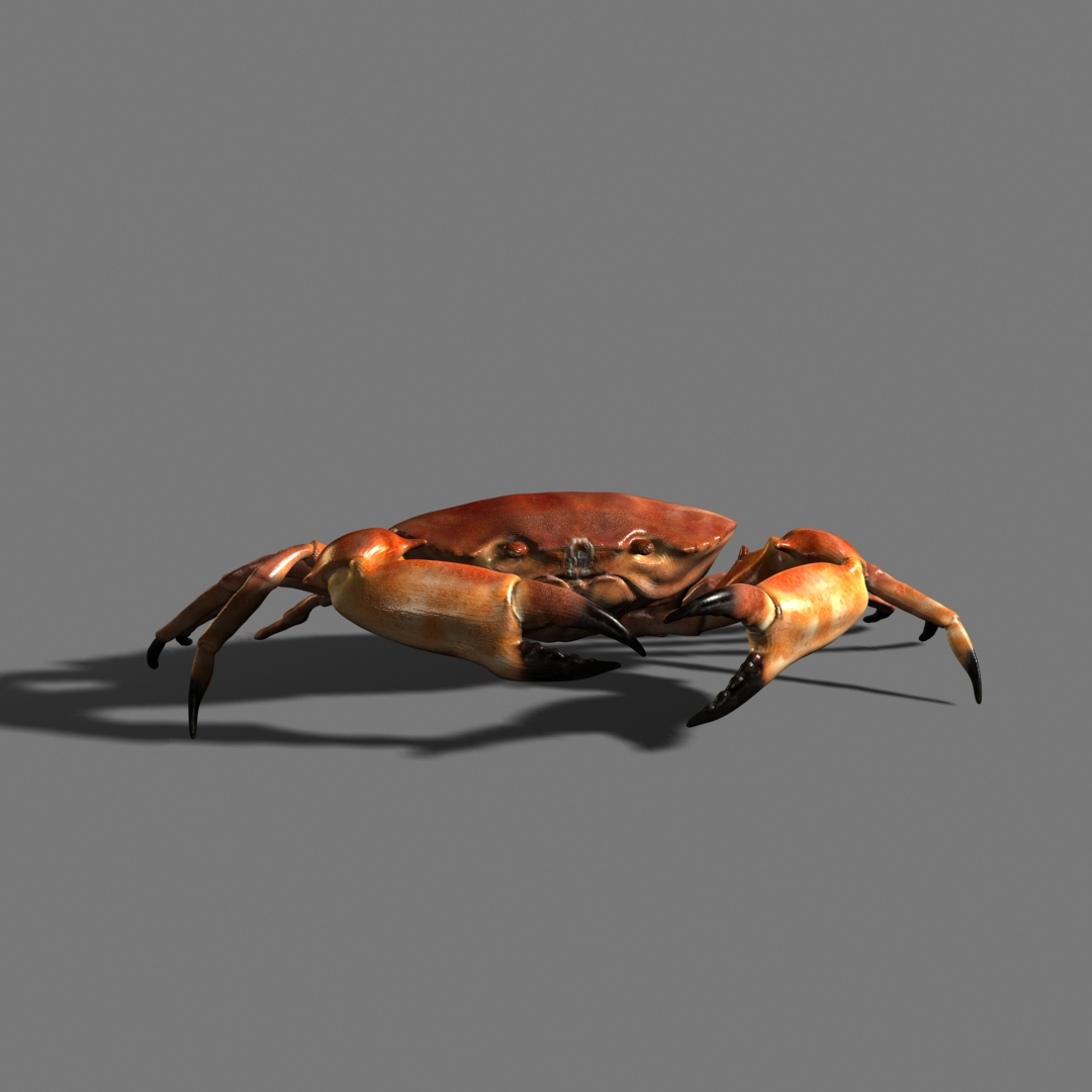 3D Model Crab Vr Realtime - TurboSquid 1462777