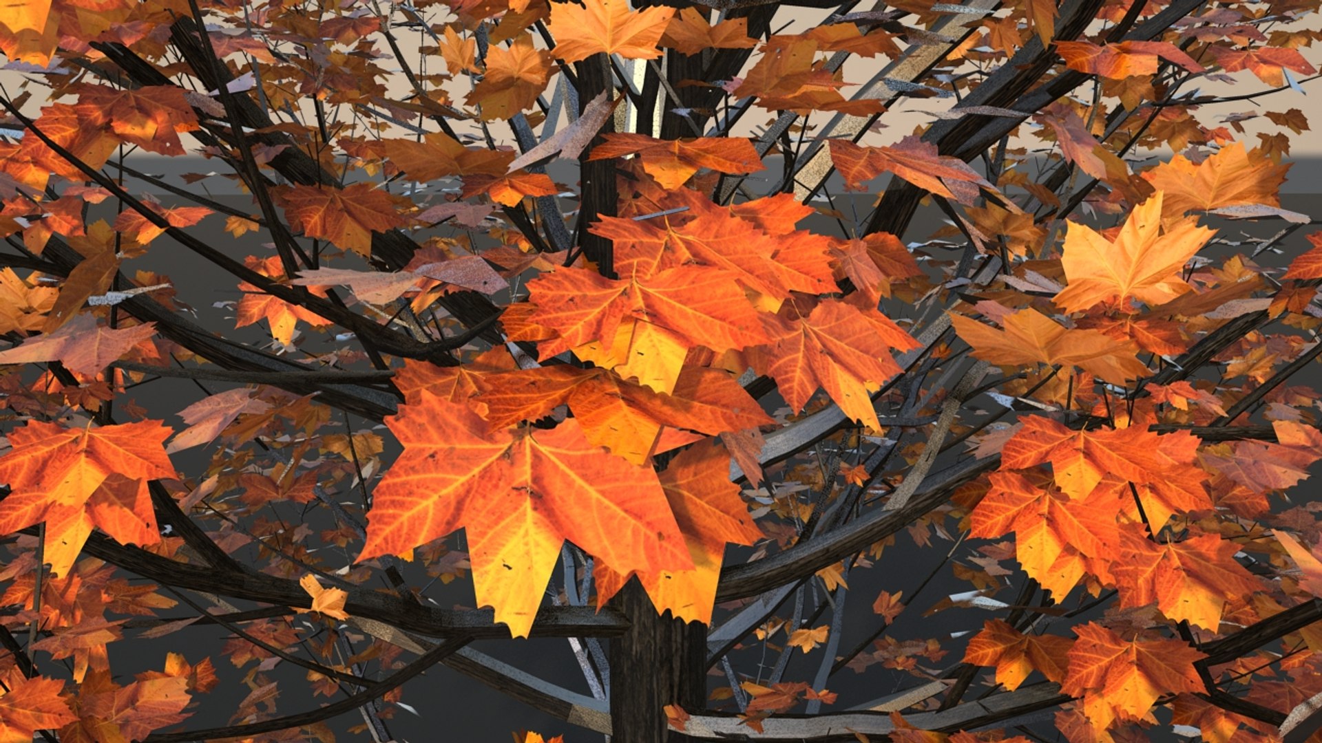 broadleaf materials obj