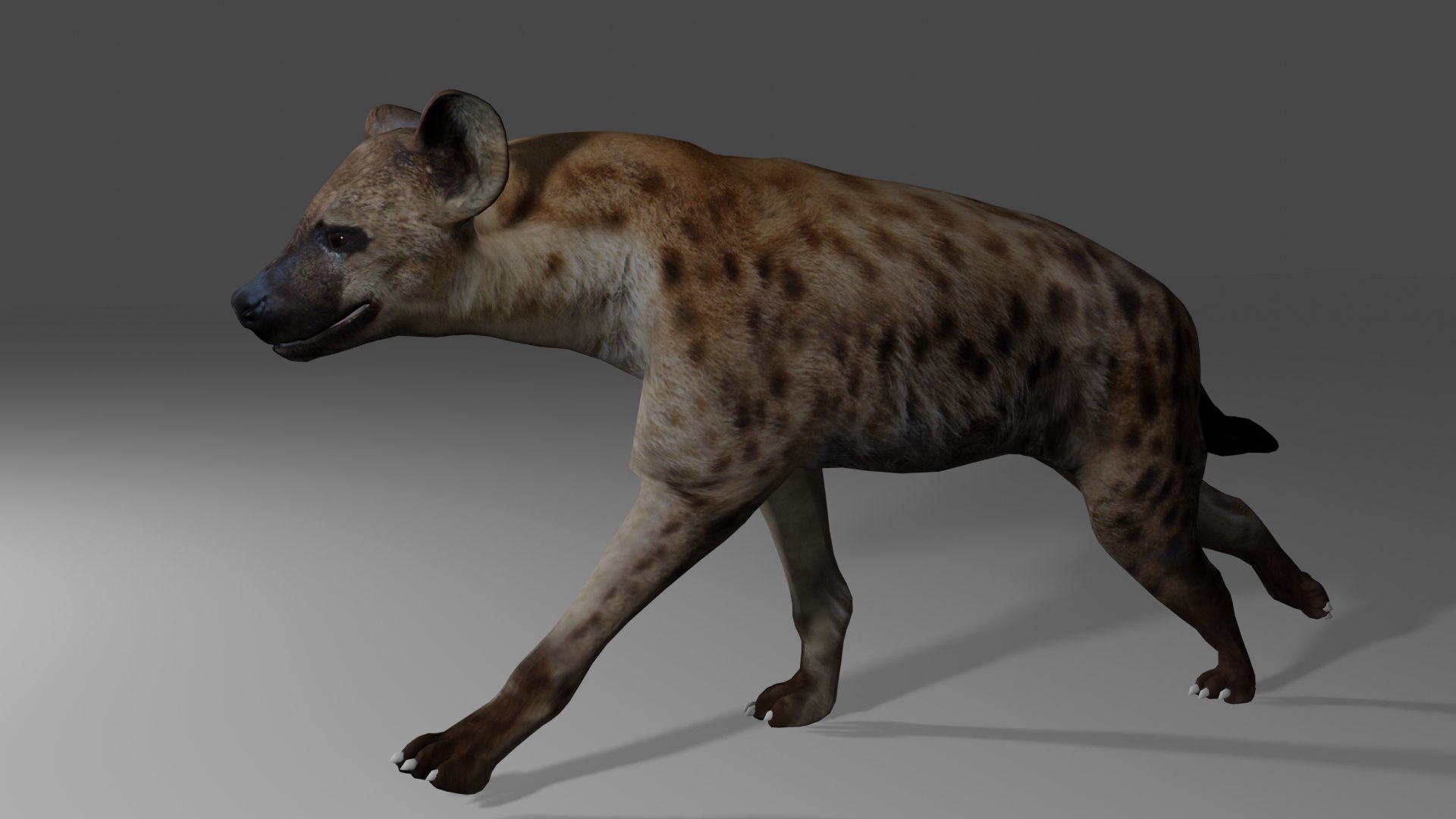 Spotted Hyena Rigged Model 3D model - TurboSquid 1990793