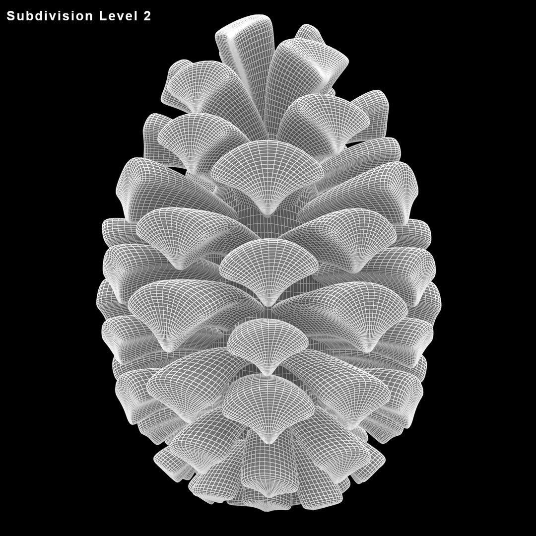 Conifer Cone 3d 3ds