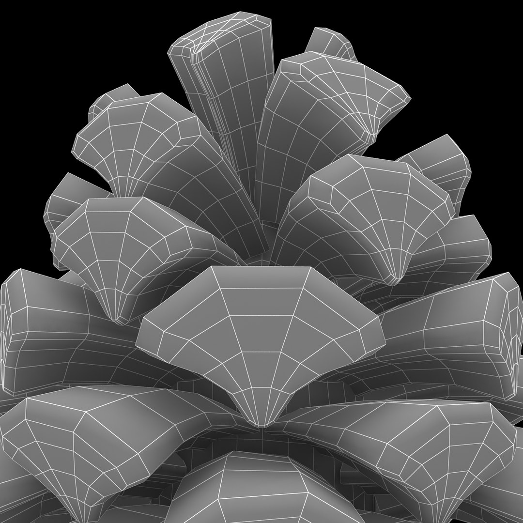 Conifer Cone 3d 3ds