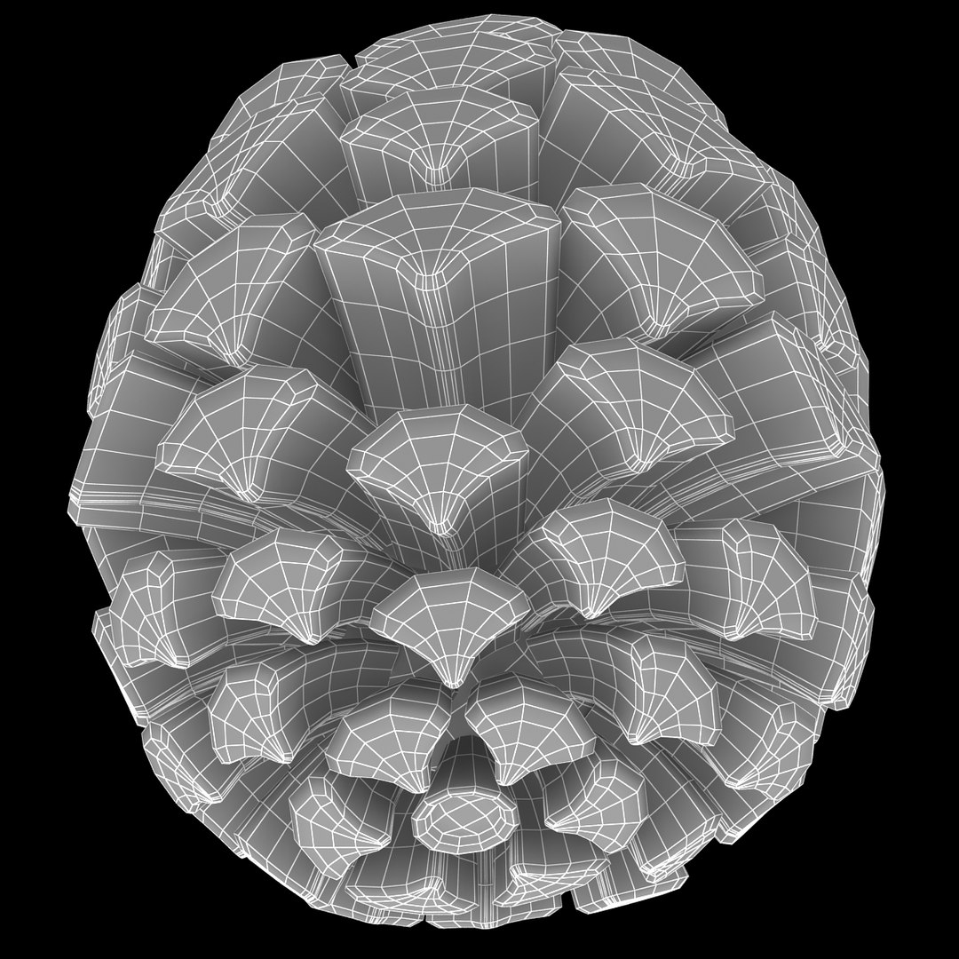 Conifer Cone 3d 3ds