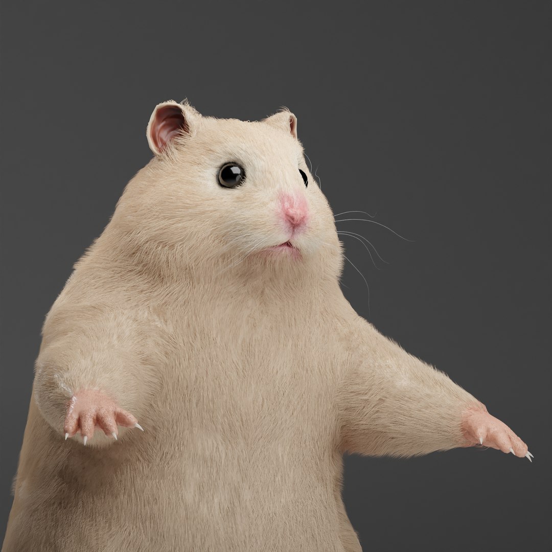 Hamster Game Model With Particle Hair Model - TurboSquid 2180717