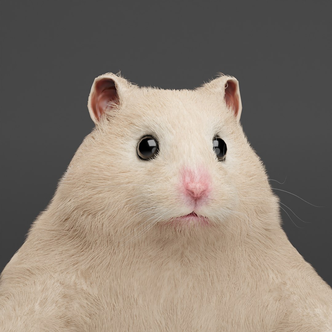 Hamster Game Model With Particle Hair Model - TurboSquid 2180717