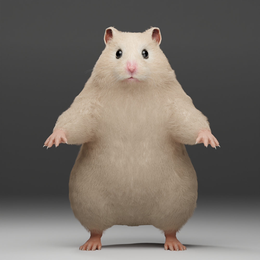 Hamster Game Model With Particle Hair Model - TurboSquid 2180717