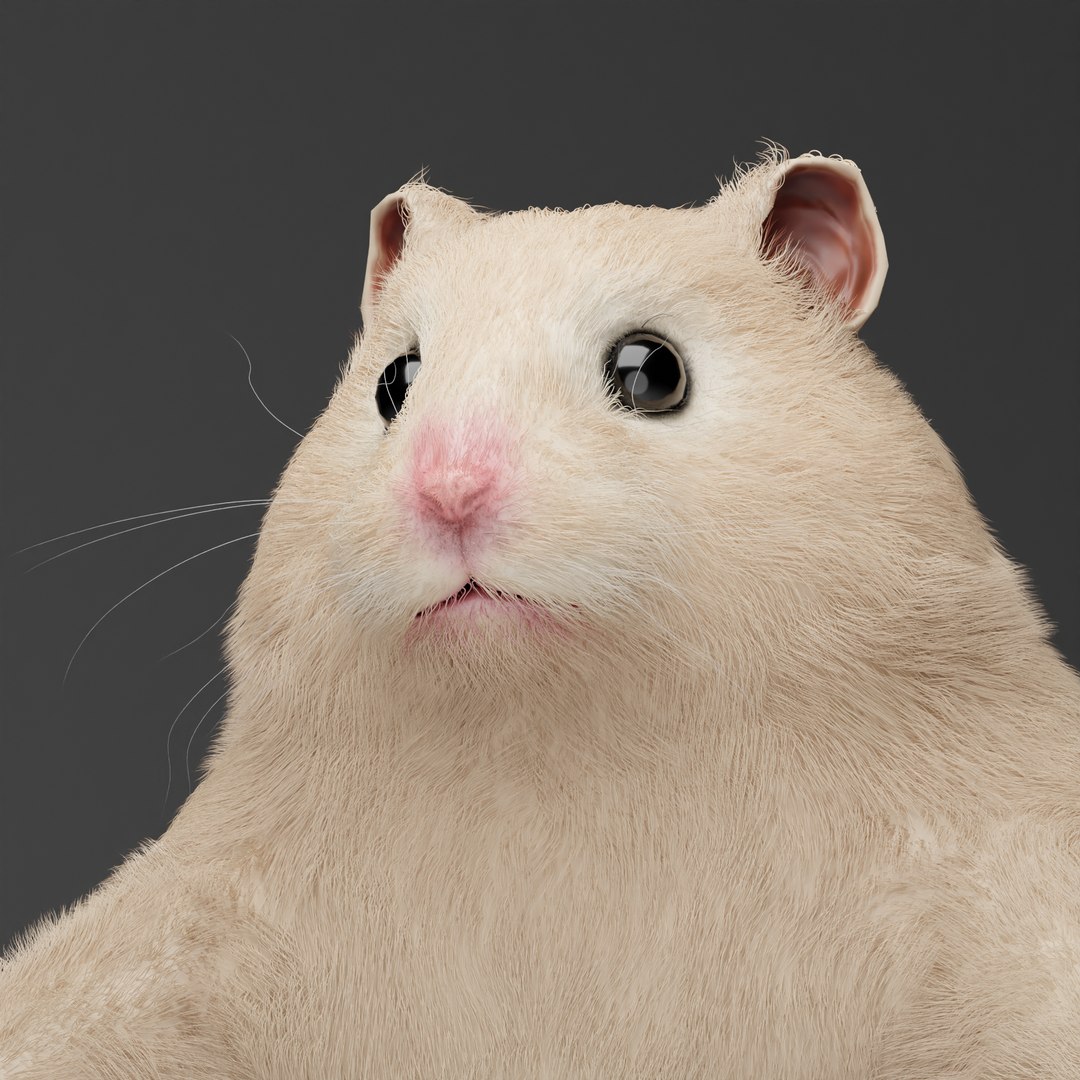 Hamster Game Model With Particle Hair Model - TurboSquid 2180717