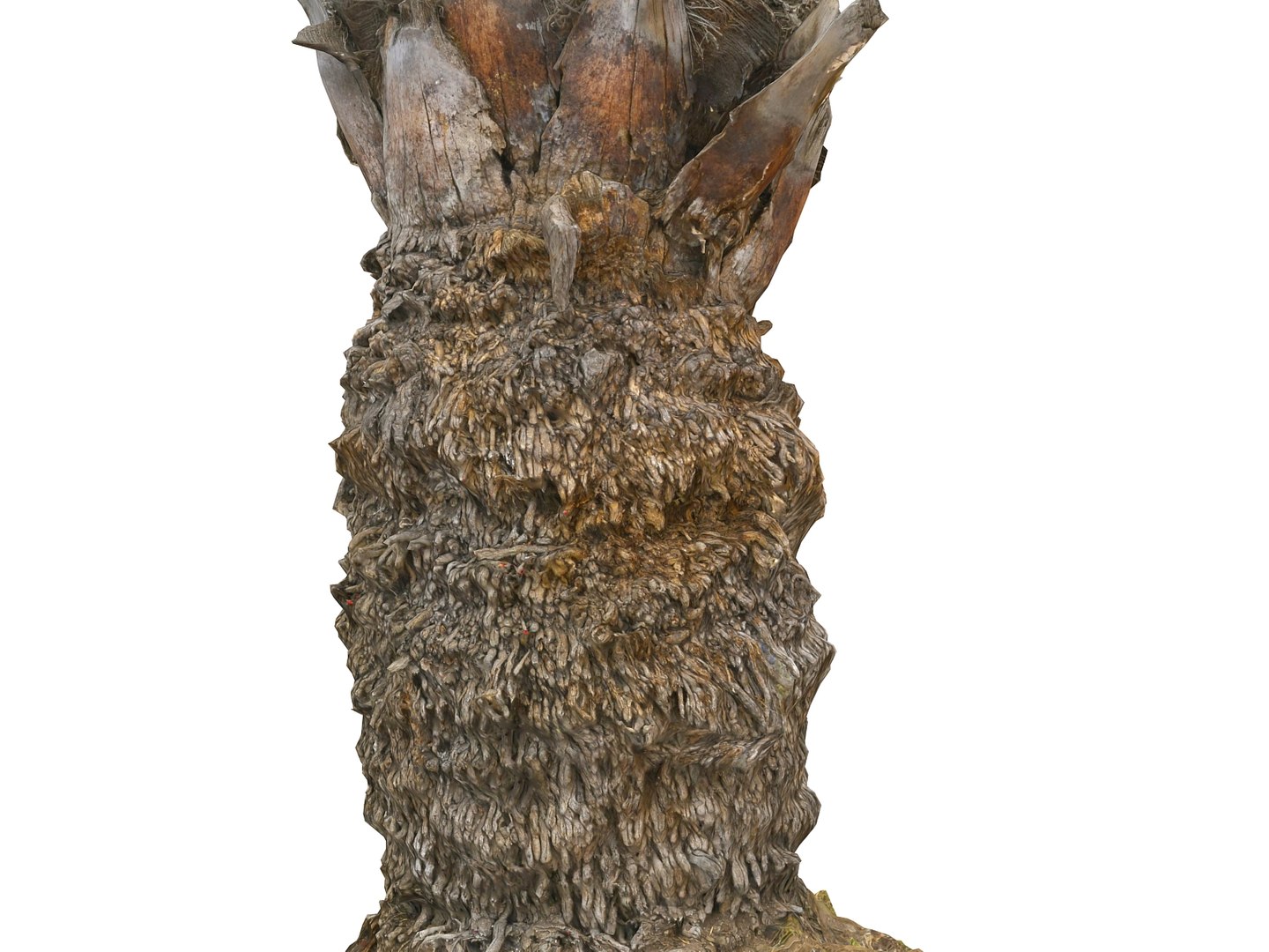 Palm scan ultra hd 3D model - TurboSquid 1441997