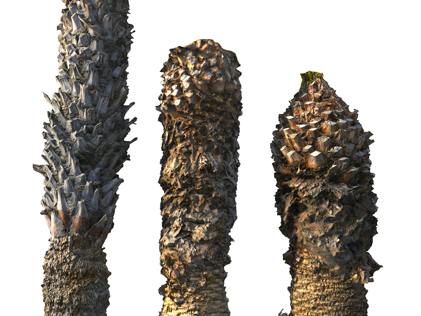 Palm scan ultra hd 3D model - TurboSquid 1441997