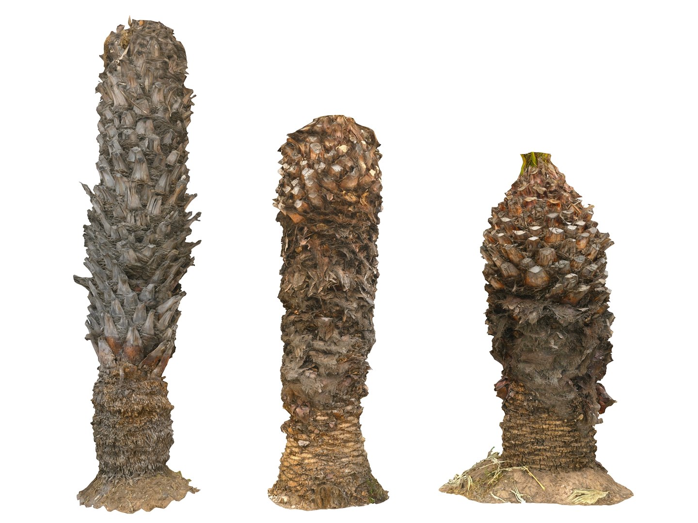 Palm scan ultra hd 3D model - TurboSquid 1441997