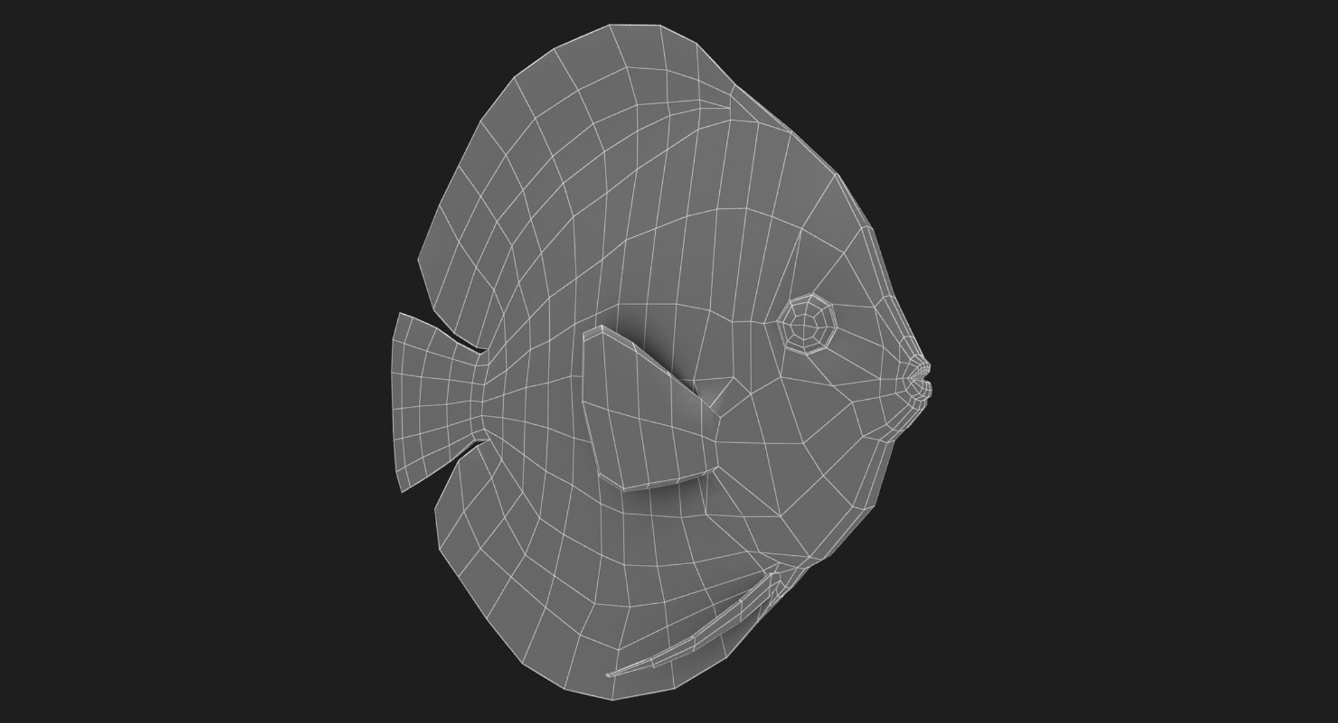 Discus Fish 2 Rigged 3D Model - TurboSquid 1285776
