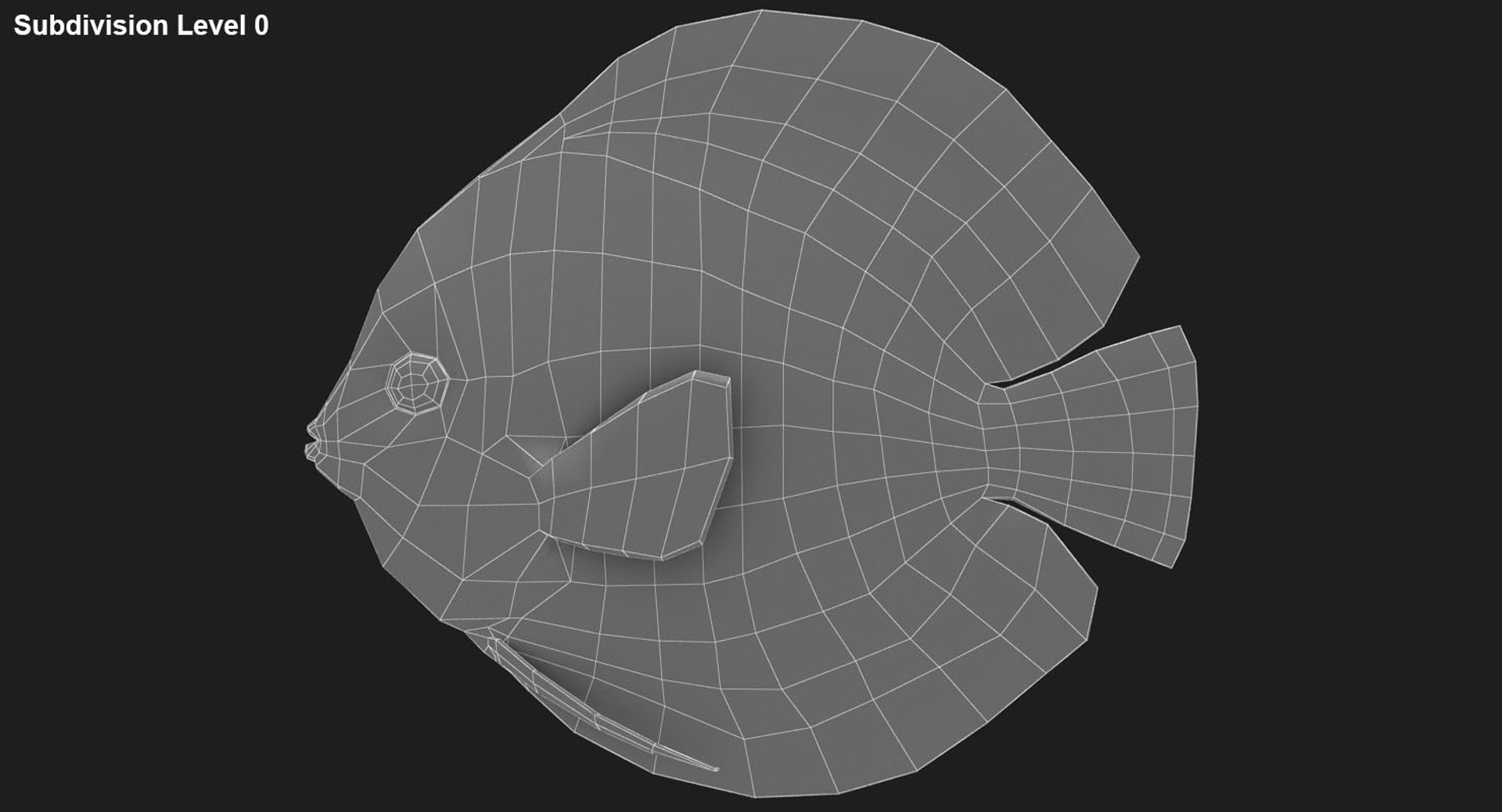 Discus Fish 2 Rigged 3D Model - TurboSquid 1285776