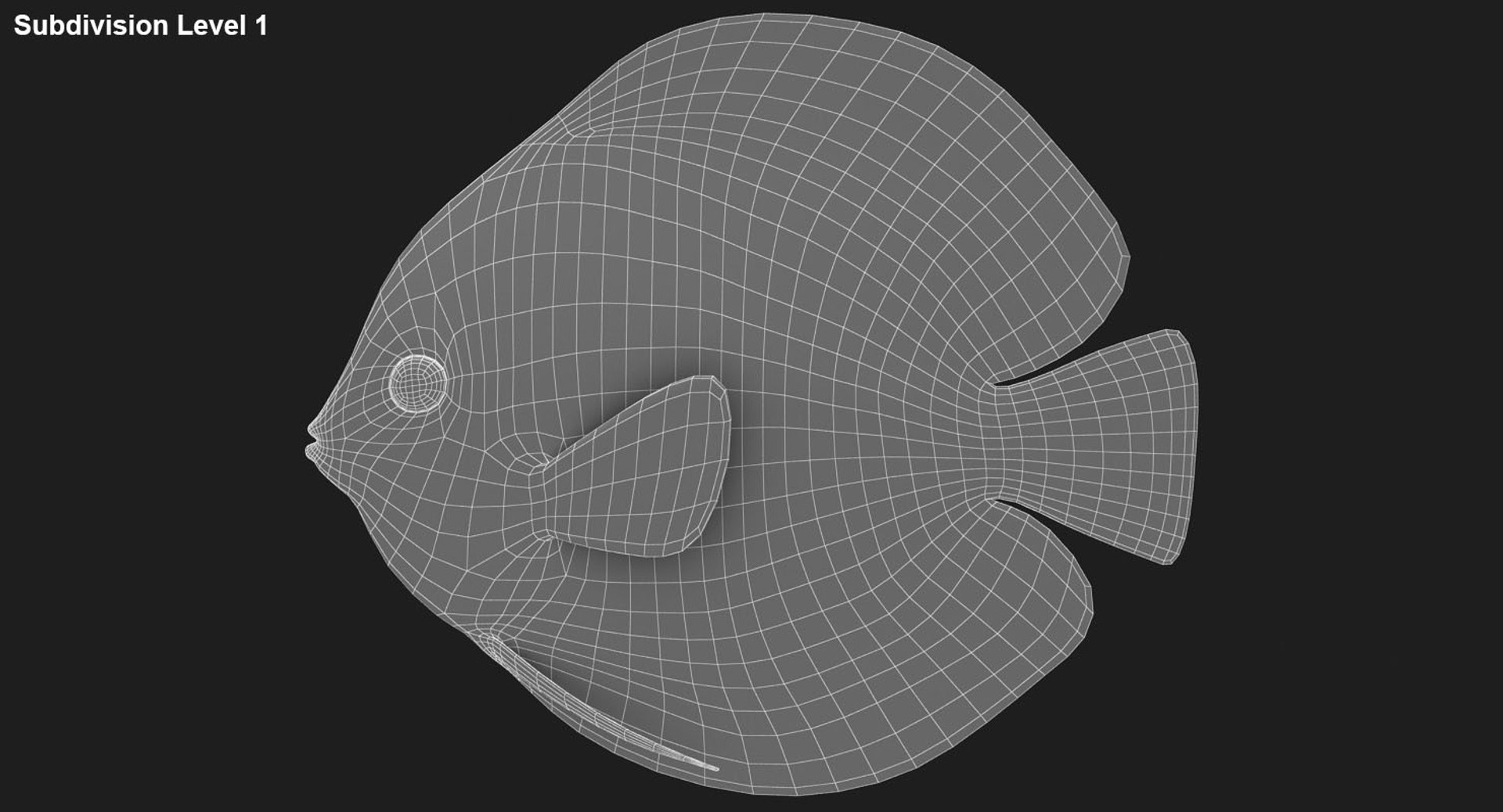 Discus Fish 2 Rigged 3D Model - TurboSquid 1285776