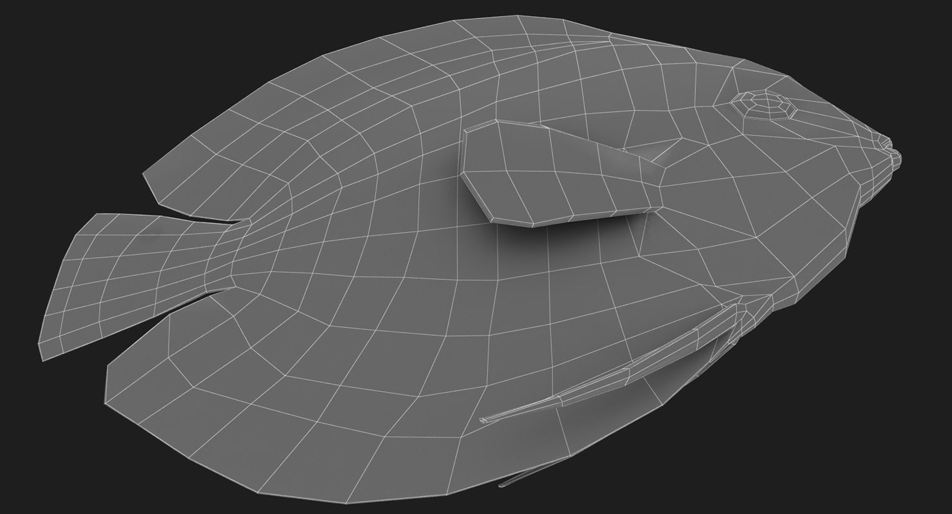 Discus Fish 2 Rigged 3D Model - TurboSquid 1285776