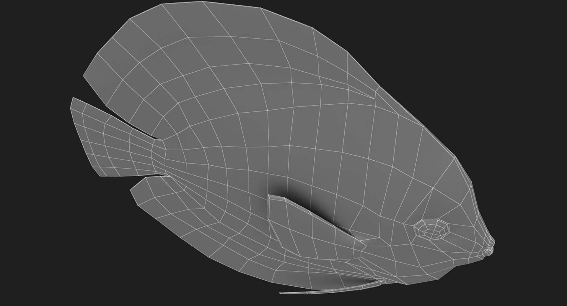 Discus Fish 2 Rigged 3D Model - TurboSquid 1285776
